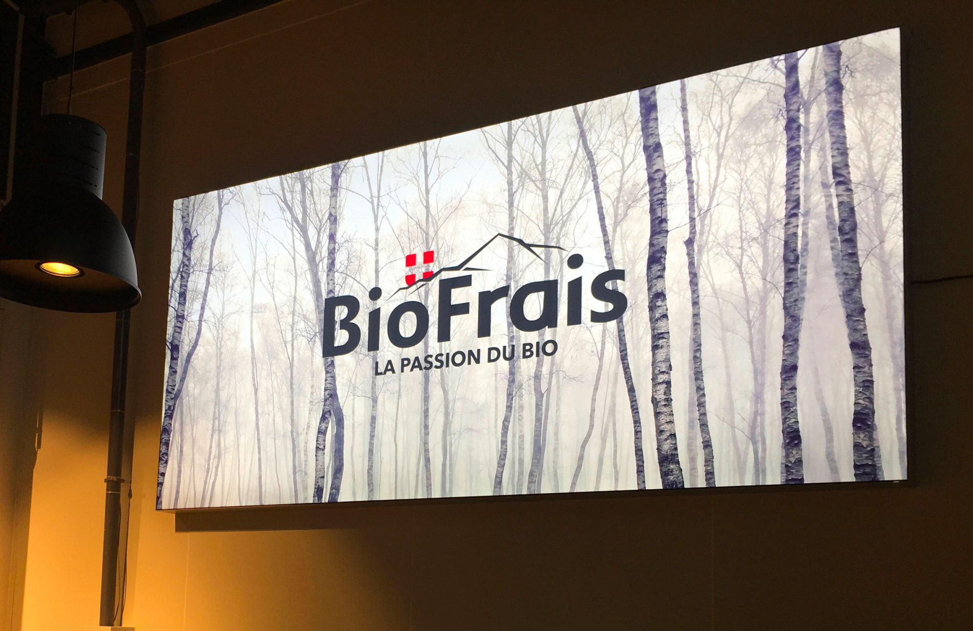 LightBox Easy - LightAir